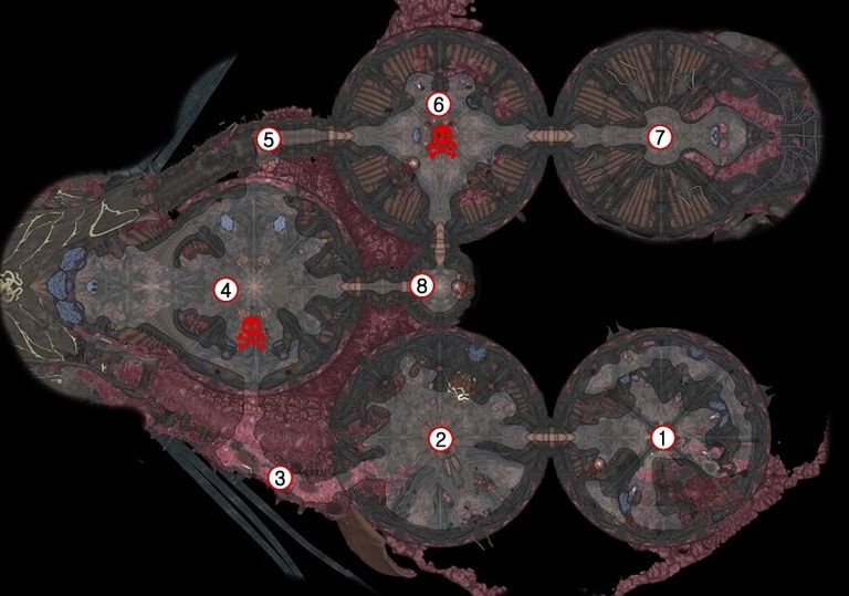 【BG3】序章攻略 | Spoilerブログ